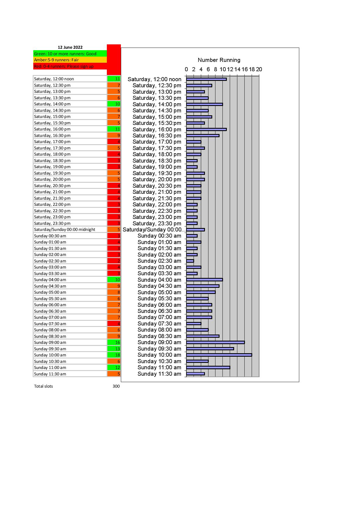 Distribution of participants across the 24 hours – small park BIG RUN